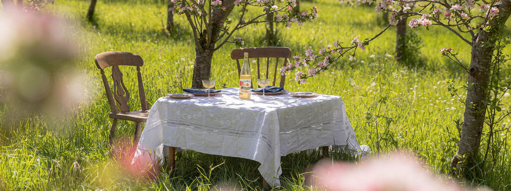 Taste and Tour Highbank Experience | Highbank Orchards