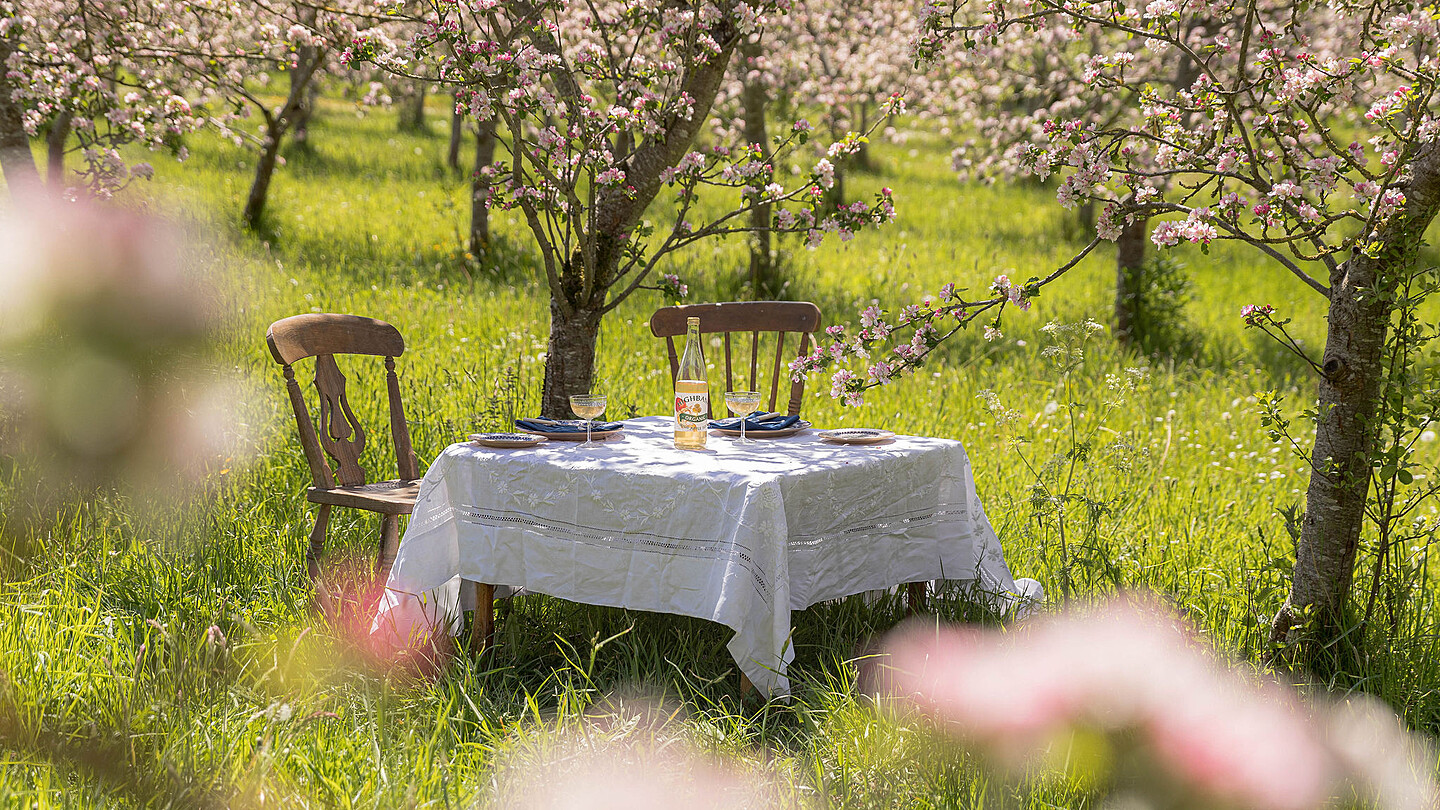 Taste and Tour Highbank Experience | Highbank Orchards