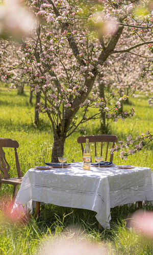Taste and Tour Highbank Experience | Highbank Orchards