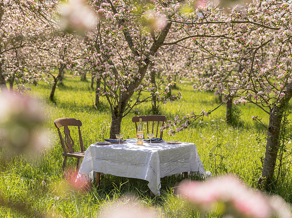 Our Tours | Highbank Orchards