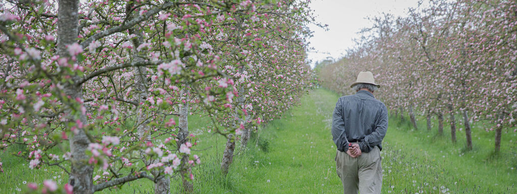 The Highbank Experience for Groups | Highbank Orchards