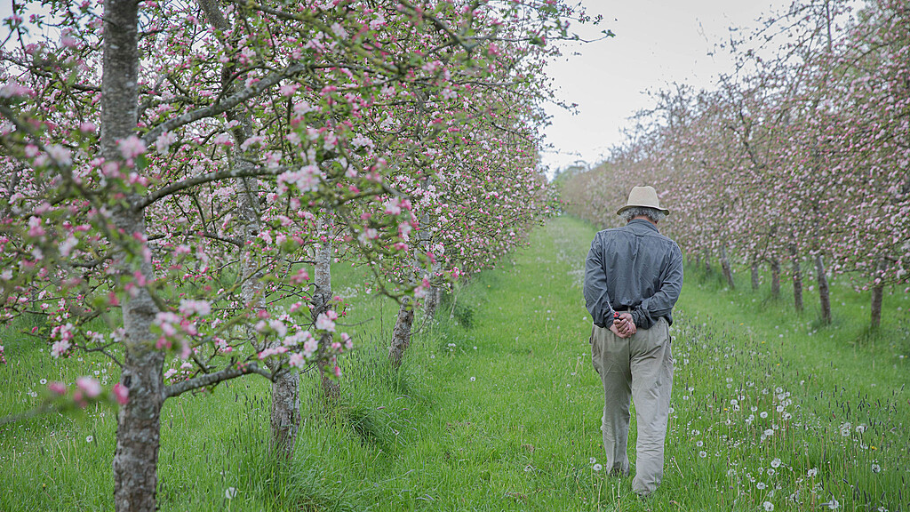The Highbank Experience for Groups | Highbank Orchards