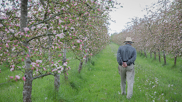 The Highbank Experience for Groups | Highbank Orchards