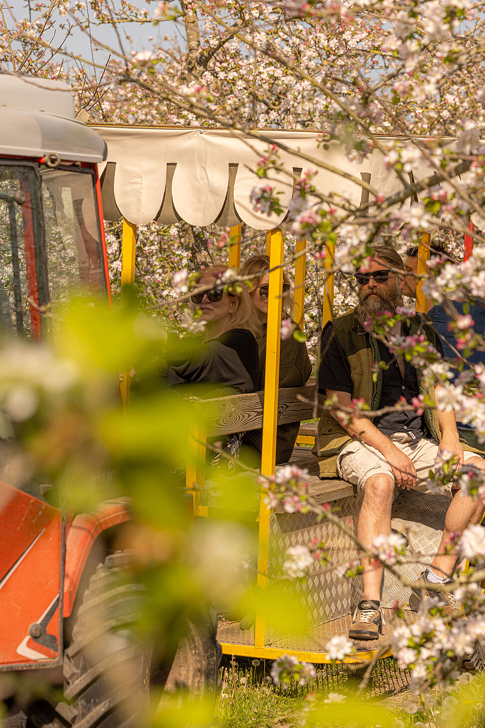 Taste and Tour Highbank Experience | Highbank Orchards